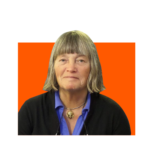 Congreso de Neuropsicología | Universidad Anáhuac Mayab