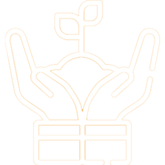 Parque Tecnológico de innovación TecniA - Universidad Anáhuac Mayab