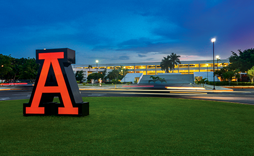 ¿Qué actividades puedes hacer en Mérida? | Anáhuac Mayab